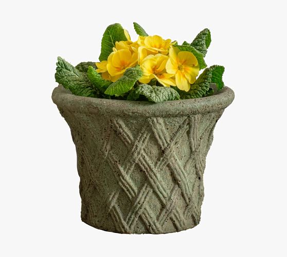 Stone Lattice Planter | Pottery Barn