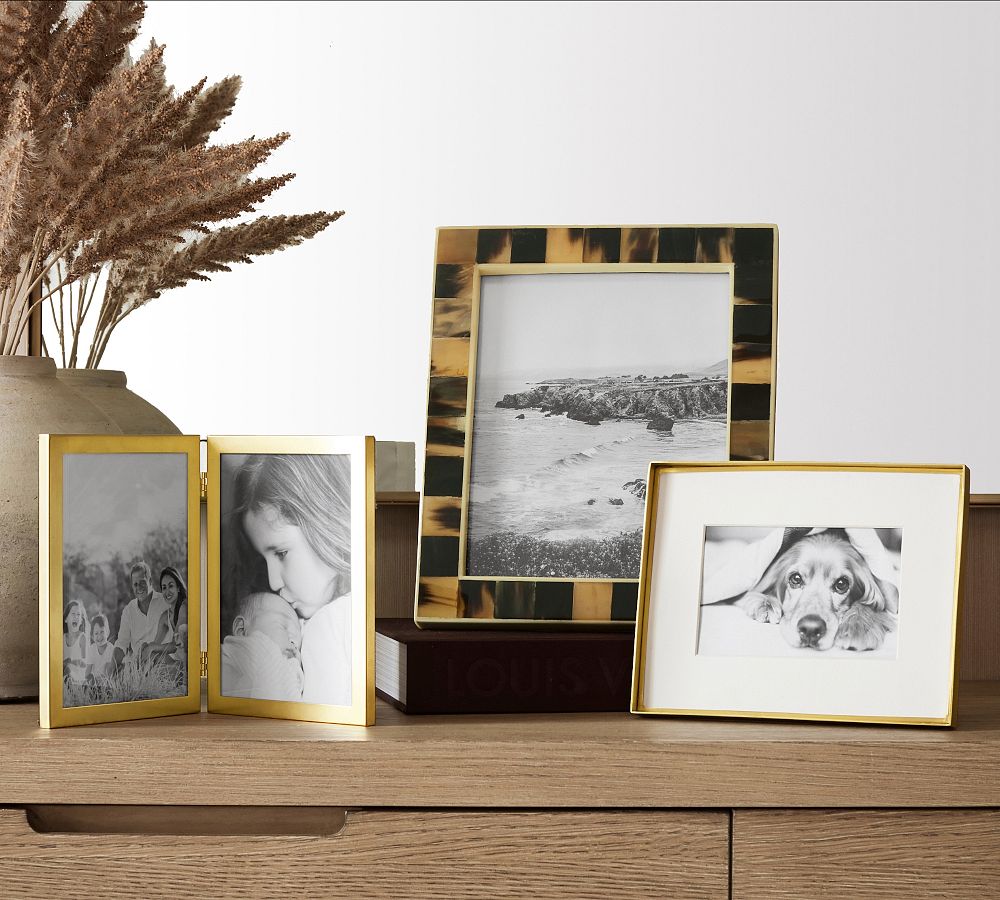 Horn and Brass Assorted Frames | Pottery Barn