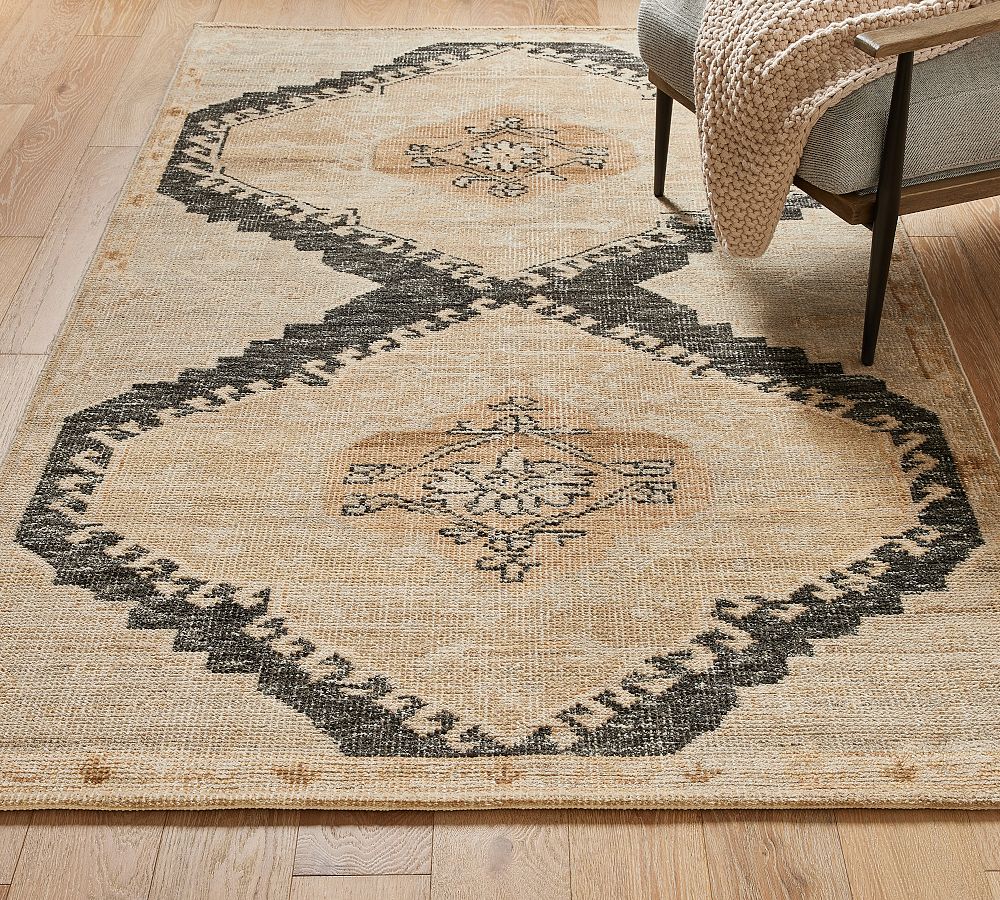 Demitria Hand-Knotted Rug | Pottery Barn