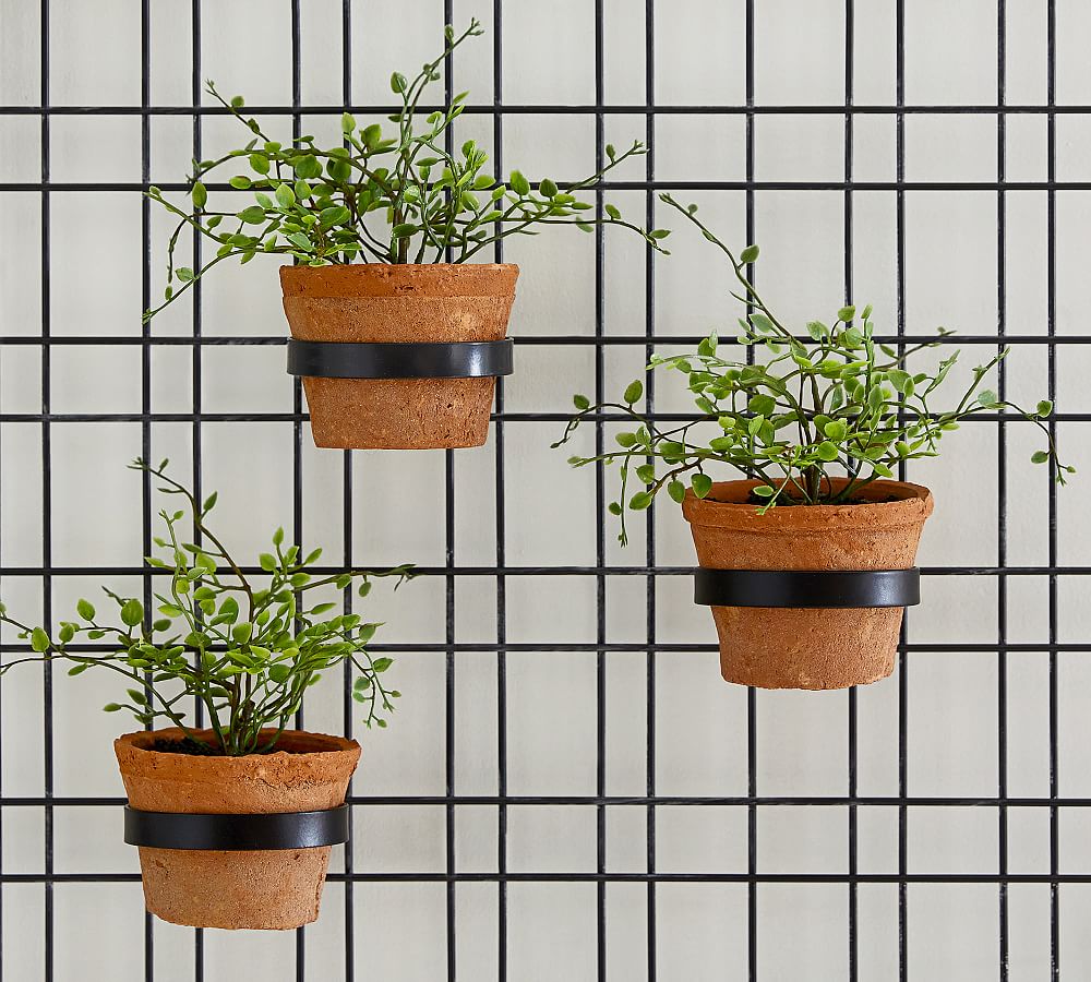 Faux Potted Mini Angel Vine Fern | Pottery Barn