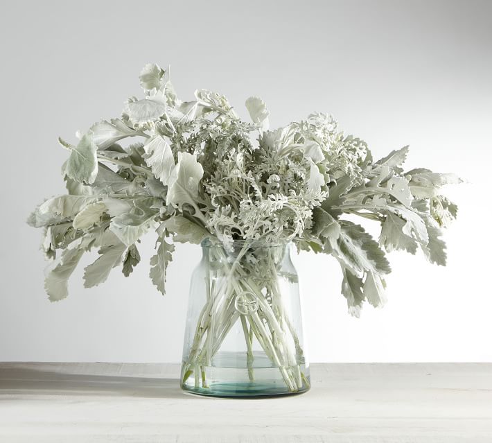 Dusty Miller Leaf
