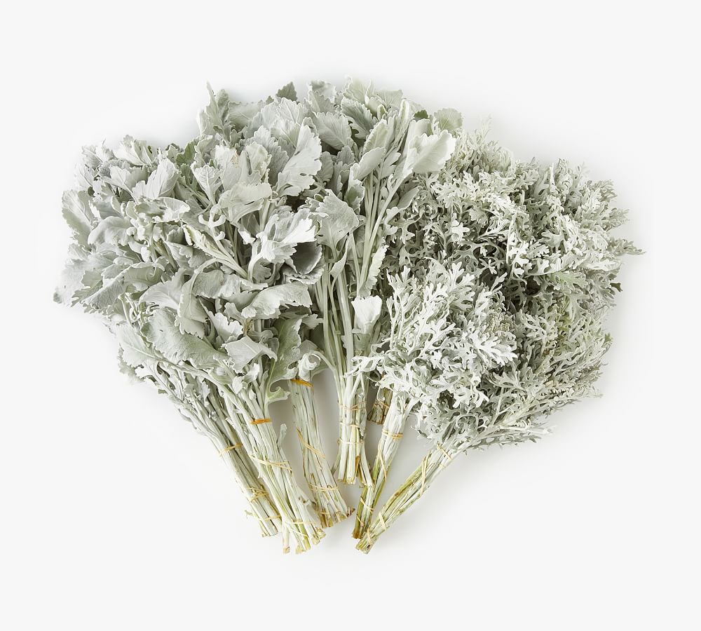Dusty Miller Lavender Bouquet