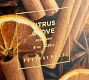Citrus Clove Scent Collection | Pottery Barn