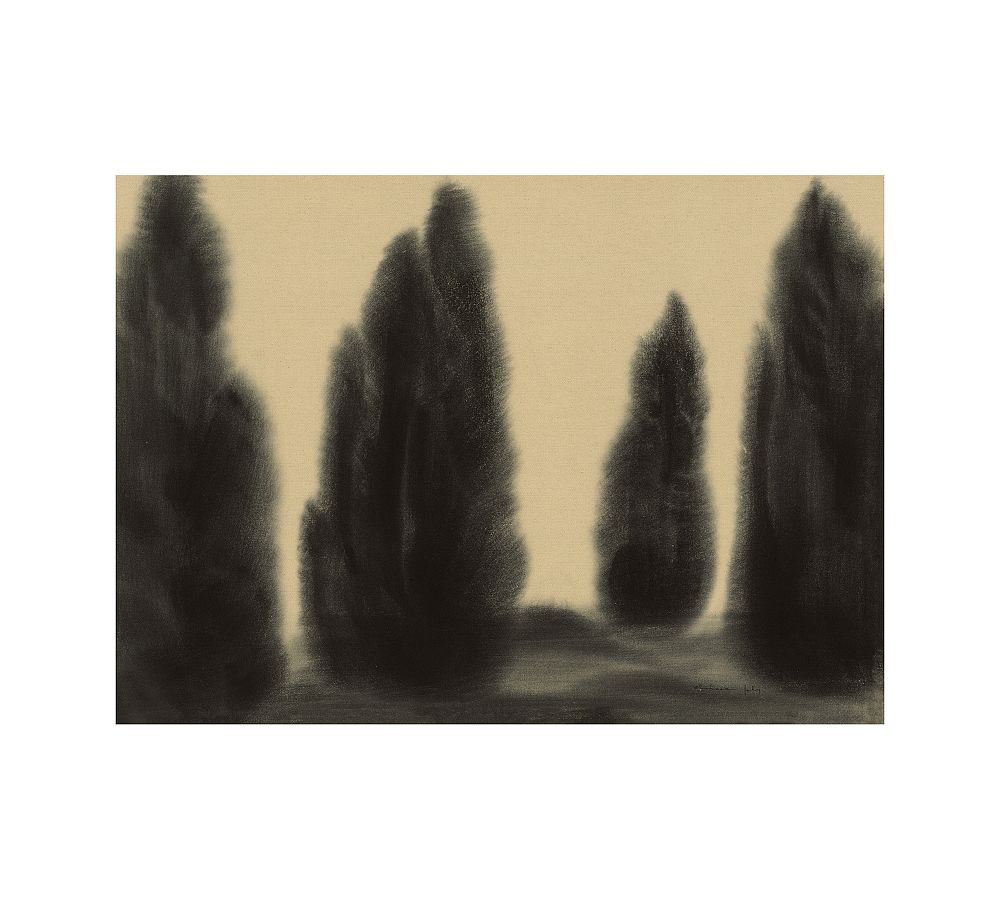 Cypress Grove by Chelsea Fly | Pottery Barn