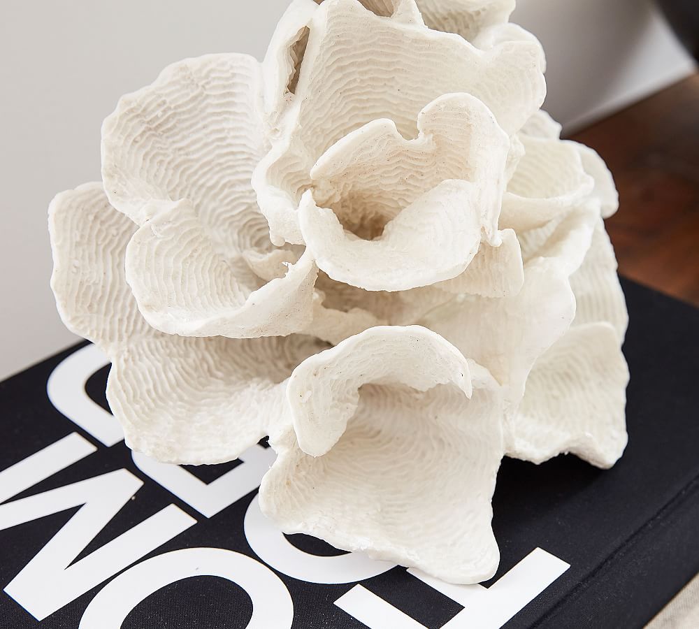 Faux White Wave Coral | Pottery Barn