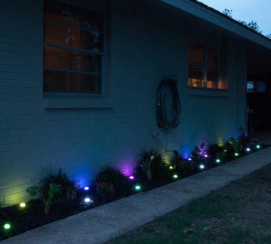 Mini LED Landscape Lights | Pottery Barn