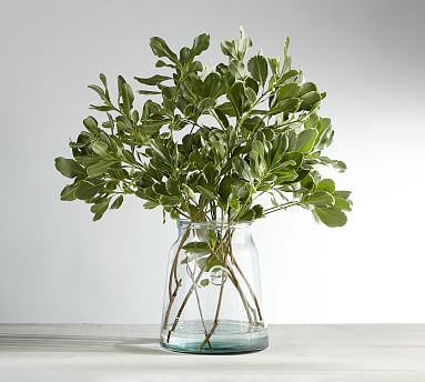 Variegated Pittosporum Bouquet