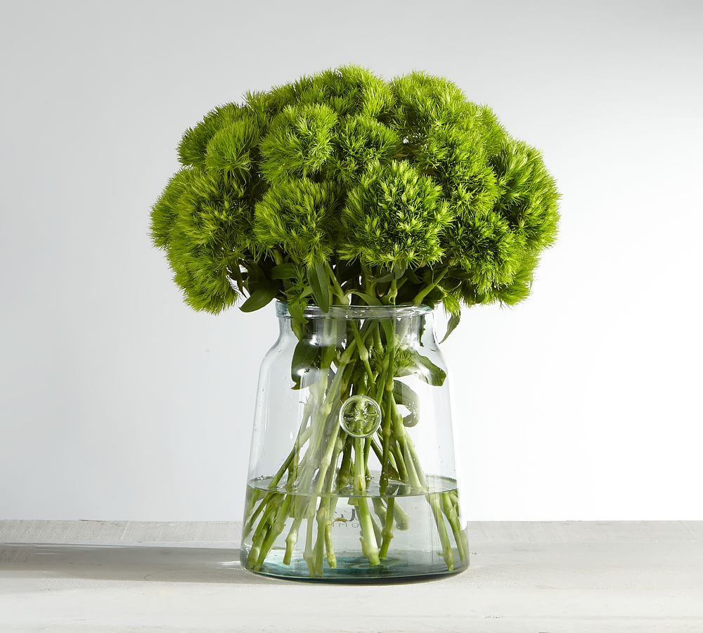 Green Trick Dianthus Wedding