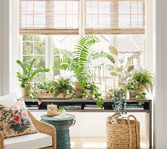 Faux Sword Fern | Pottery Barn