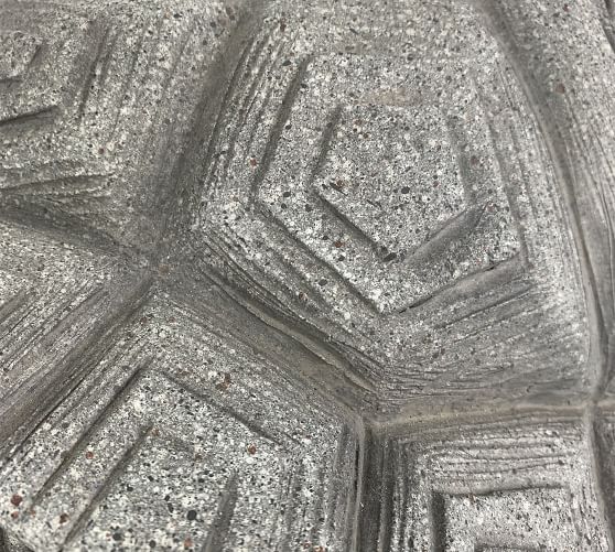 Turtle Garden Object | Pottery Barn