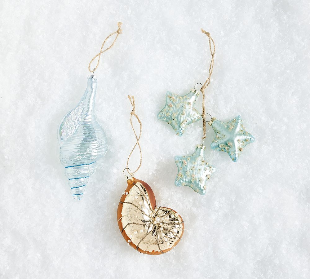 Coastal Shell Ornaments - Set of 3 | Pottery Barn