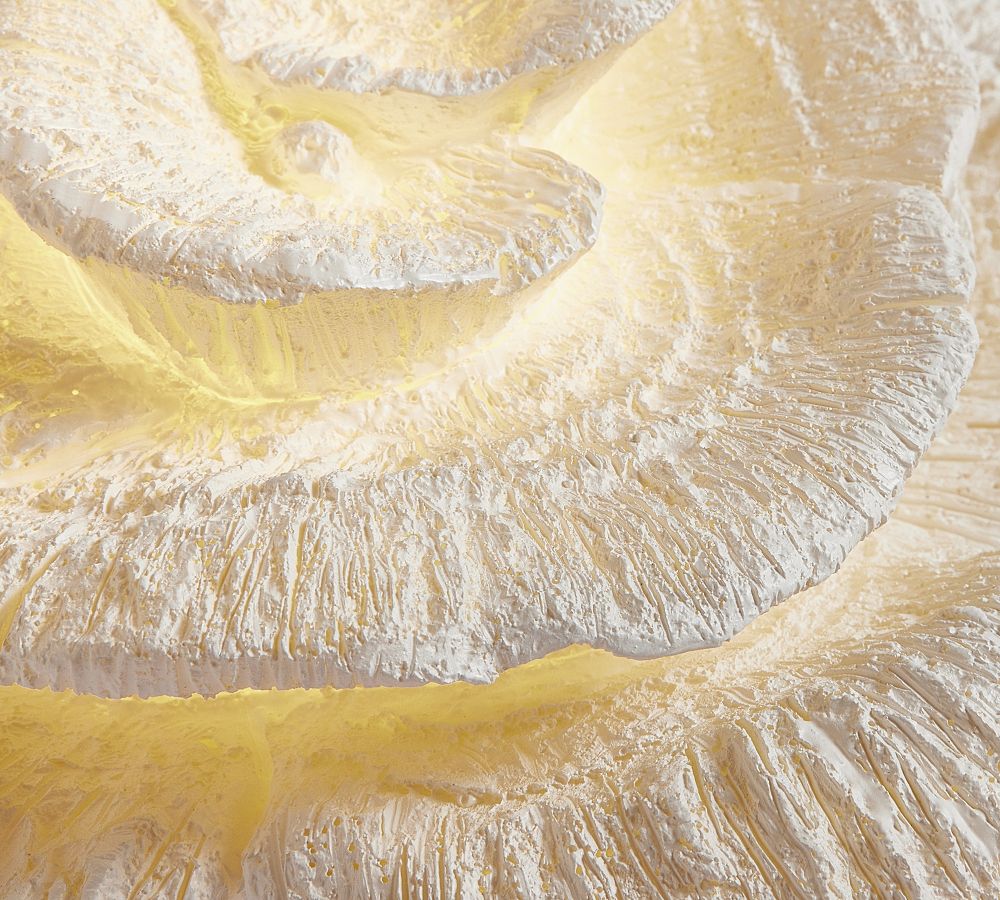 Lit Coastal Objects | Pottery Barn