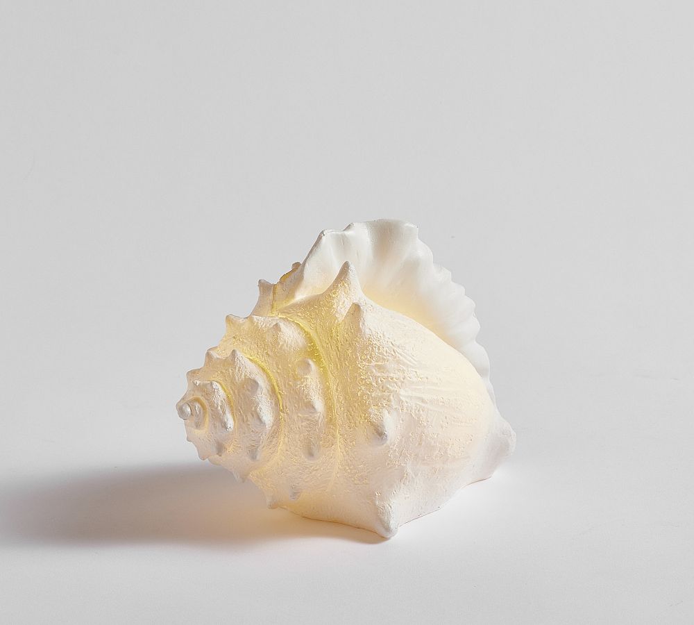 Lit Coastal Objects | Pottery Barn