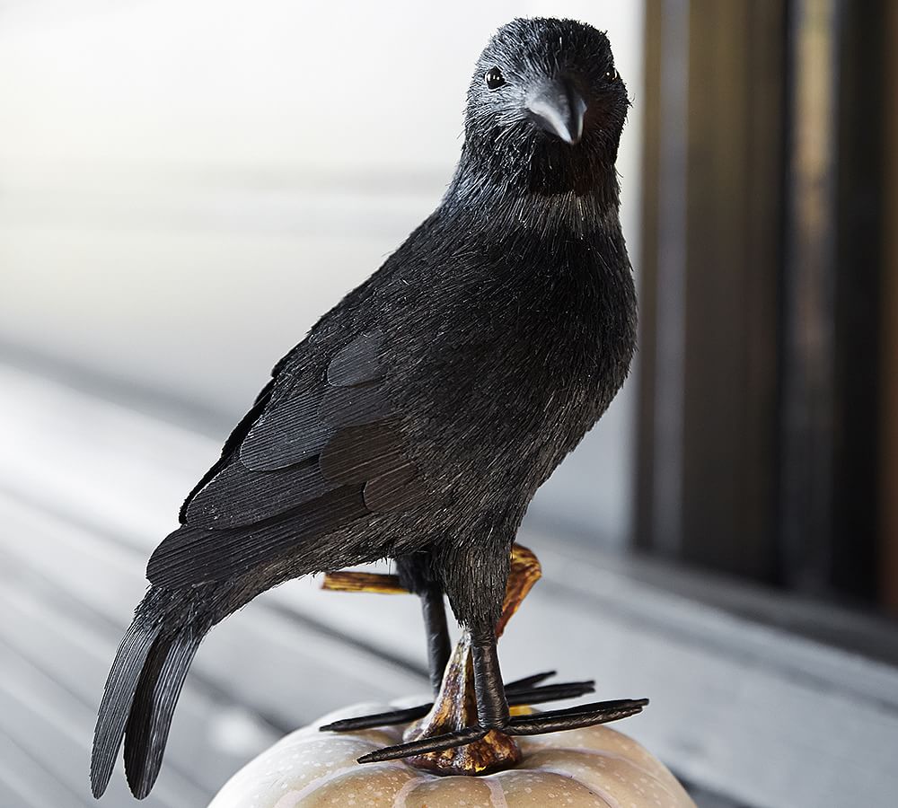 Faux Crows | Pottery Barn