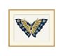 Blue & Gold Butterfly Framed Prints | Pottery Barn