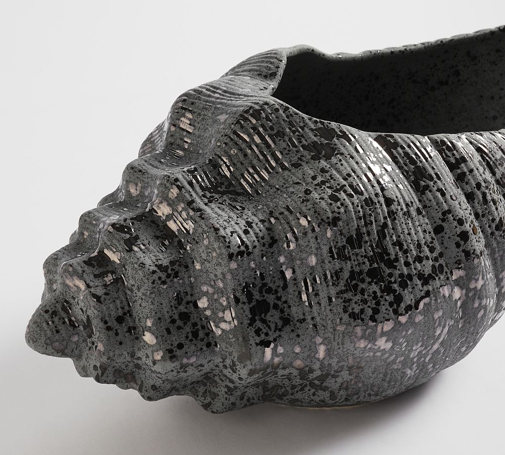 Handcrafted Ceramic Conch Shell | Pottery Barn