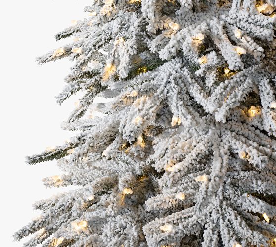 Lit Flocked Snow Pine Faux Christmas Tree | Pottery Barn