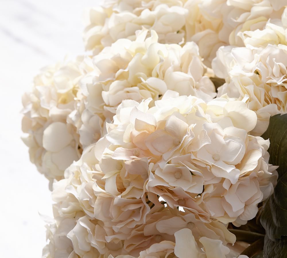 Faux Lace Hydrangea Bundle | Artificial Flowers | Pottery Barn