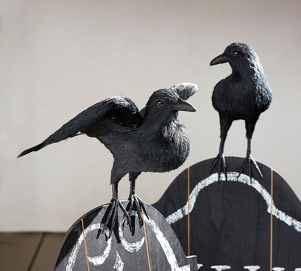 Faux Crows | Pottery Barn