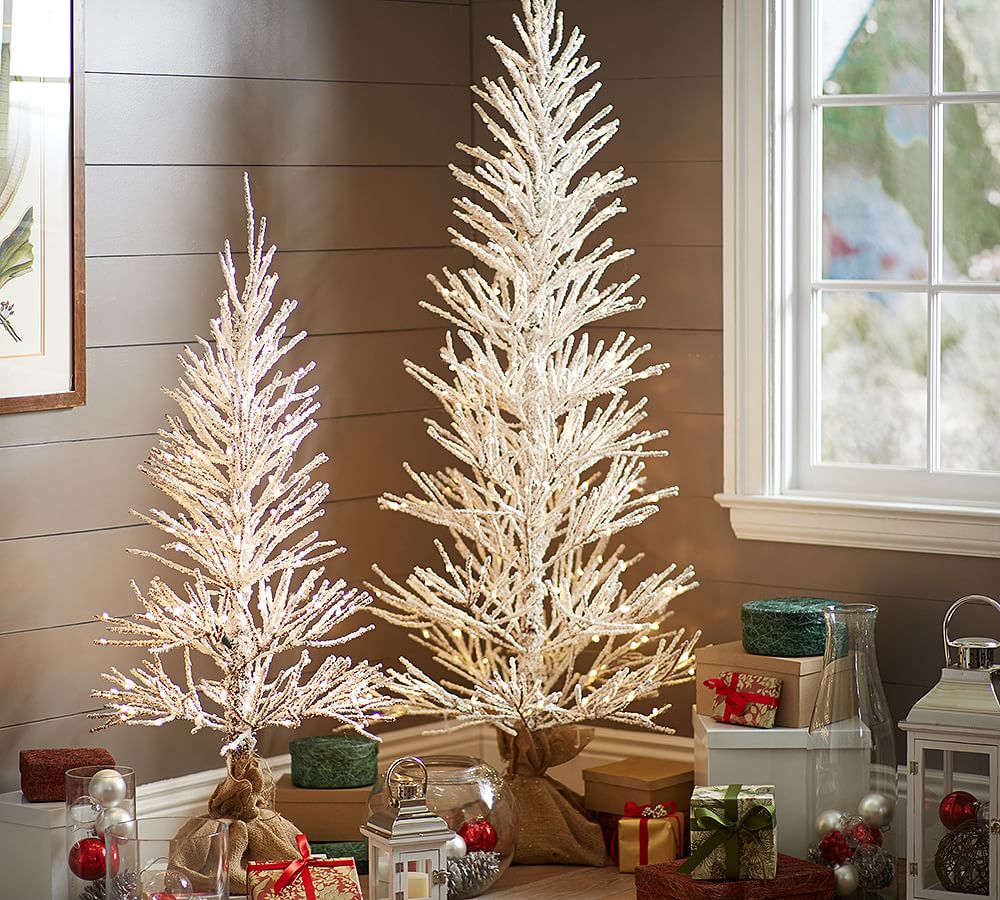 Lit Frosted Trees | Pottery Barn