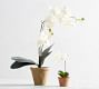 Mini Faux Potted Orchid | Artificial Flowers | Pottery Barn