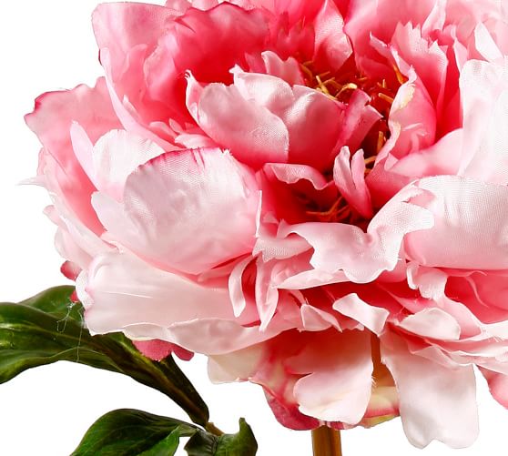 Faux Peony Open Stem with Bud | Artificial Flowers | Pottery Barn