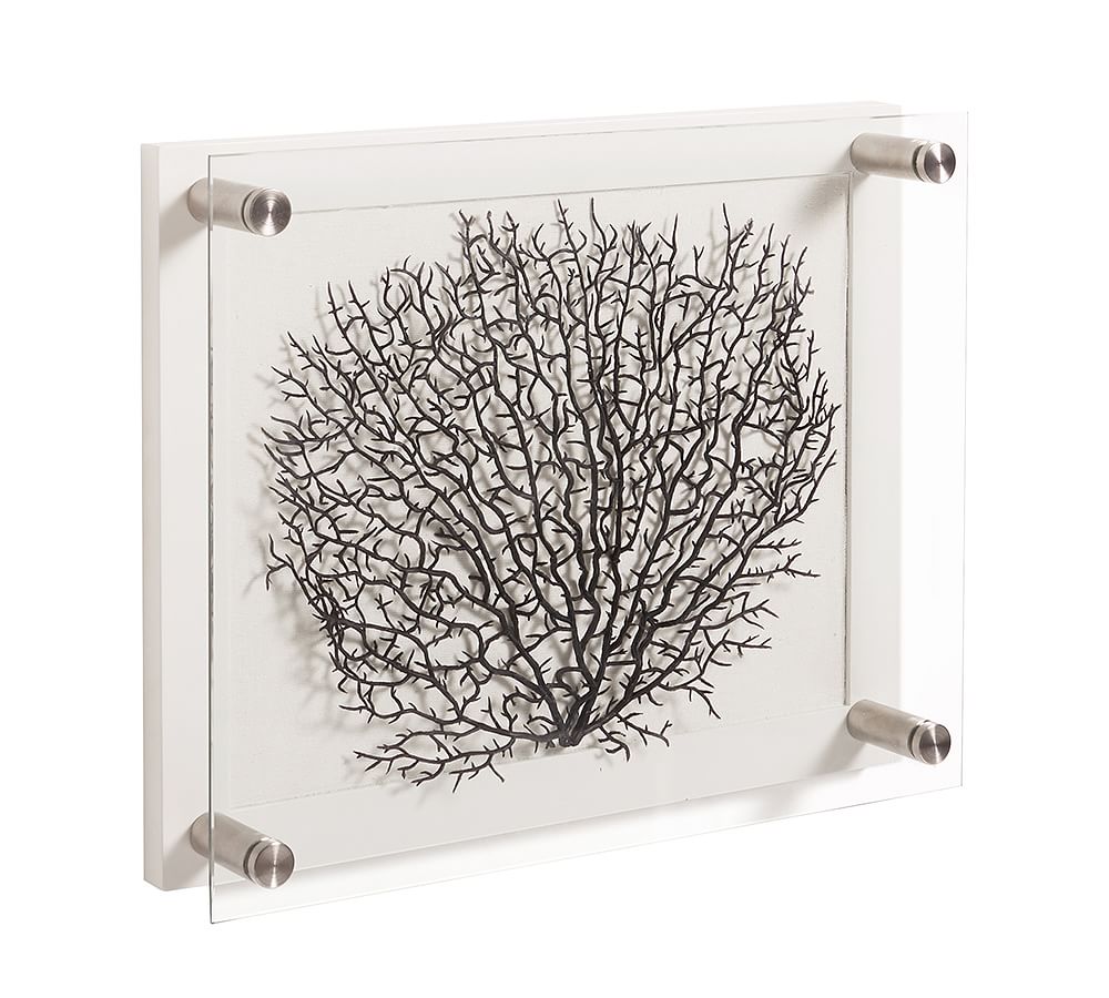 Black Fan Shadow Box | Pottery Barn