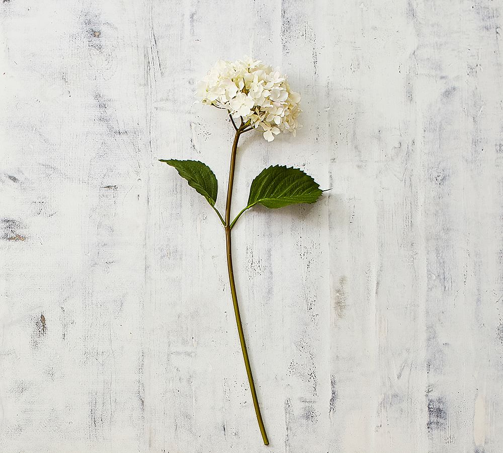 Faux Lace Hydrangea Stem - Ivory | Artificial Flowers | Pottery Barn