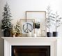 Potted Flocked Pine Tree | Pottery Barn