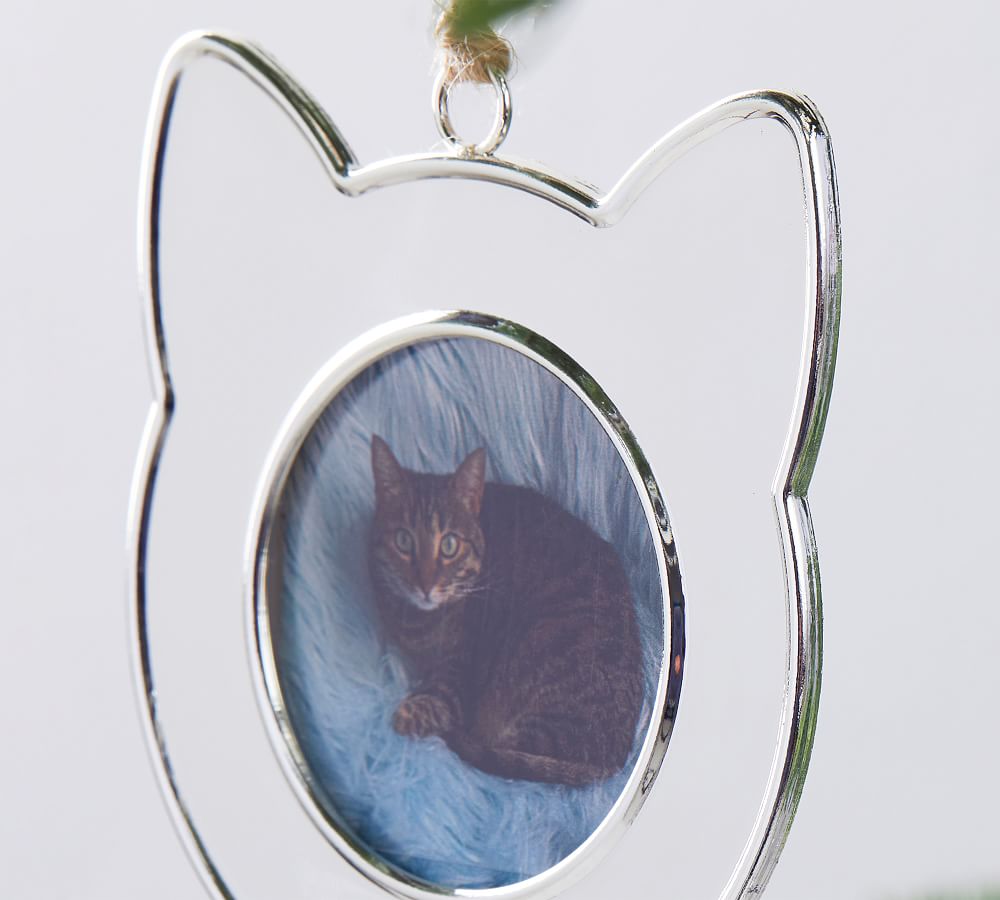 Silver Cat Frame Ornament | Pottery Barn