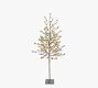Lit Icy Pine Tree | Pottery Barn