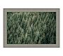 Aerial Evergreen Forest Framed Print | Pottery Barn