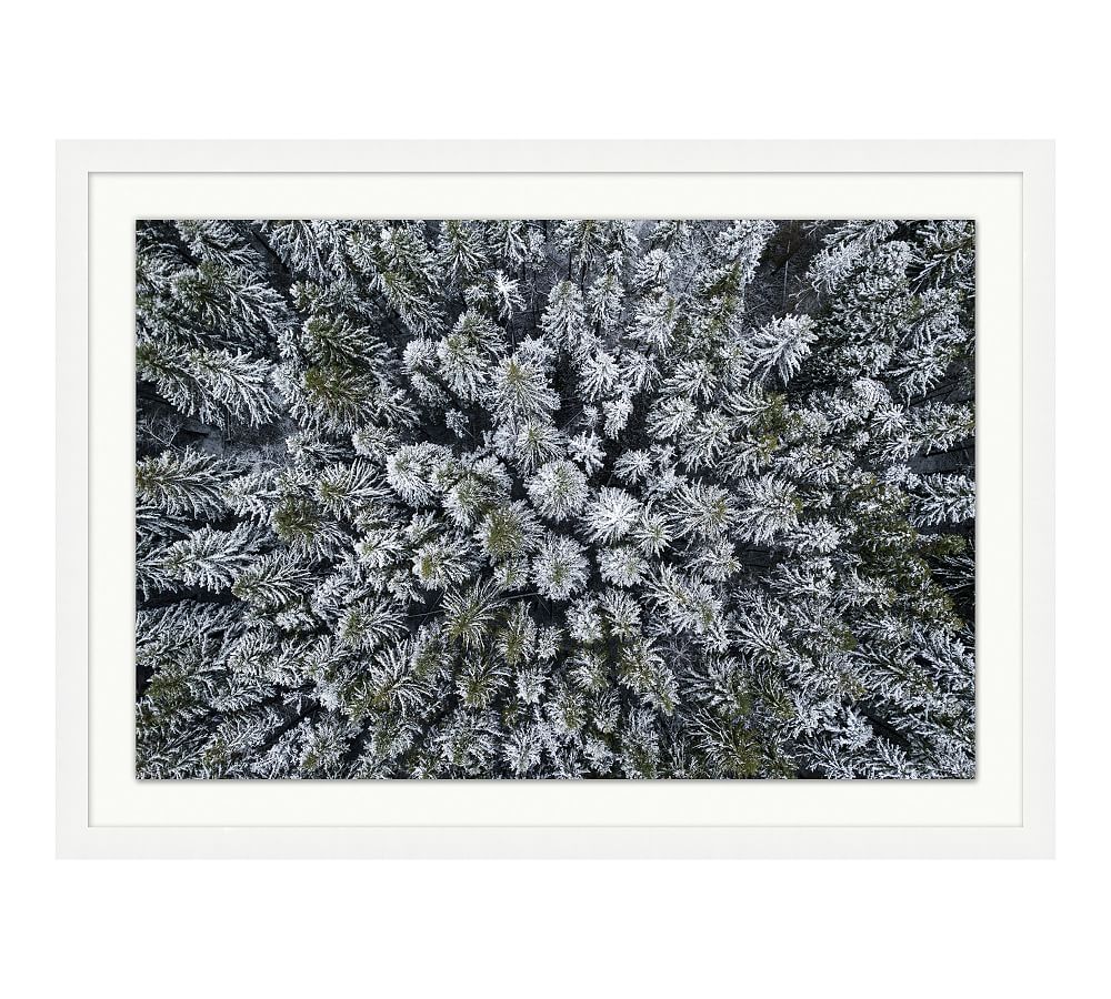Snow Dusted Treetops Floating Frame Print | Pottery Barn