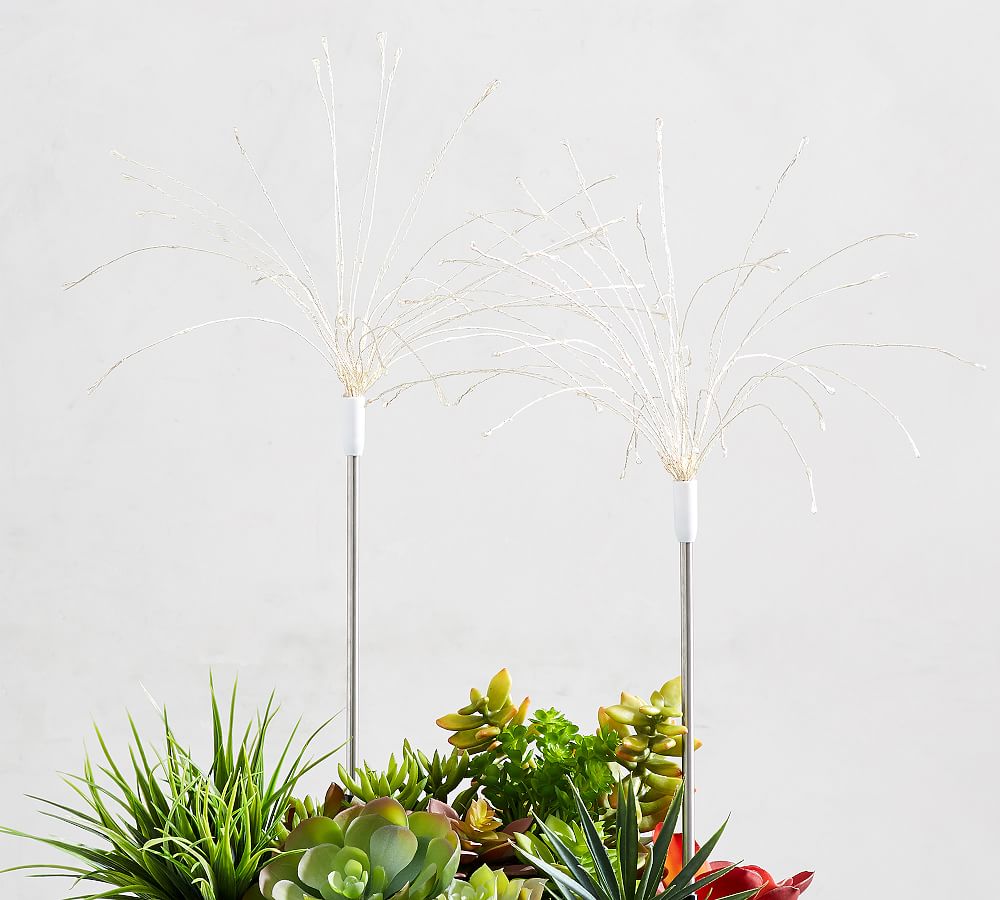 Solar Starburst Pathway Lights | Pottery Barn