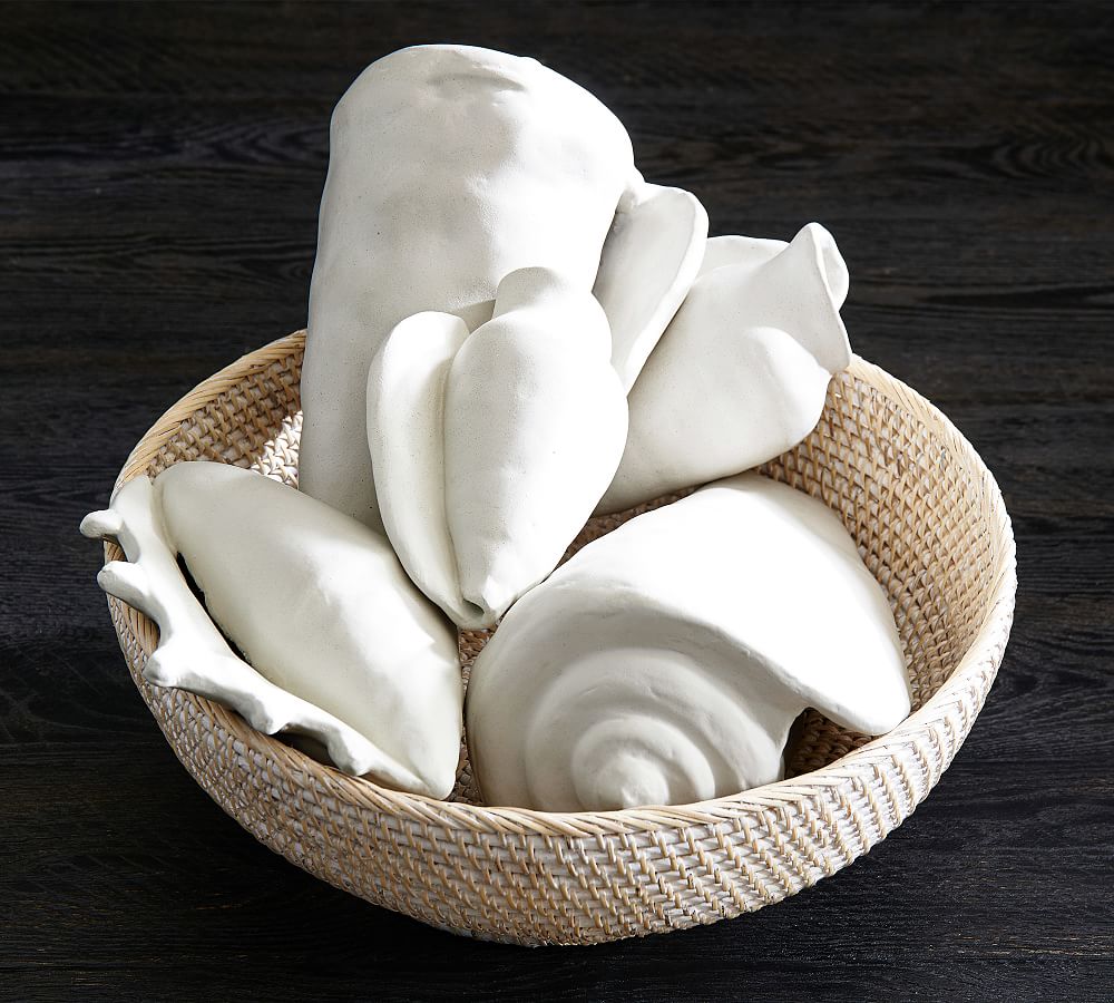 Artisan Shell Decorative Objects | Pottery Barn