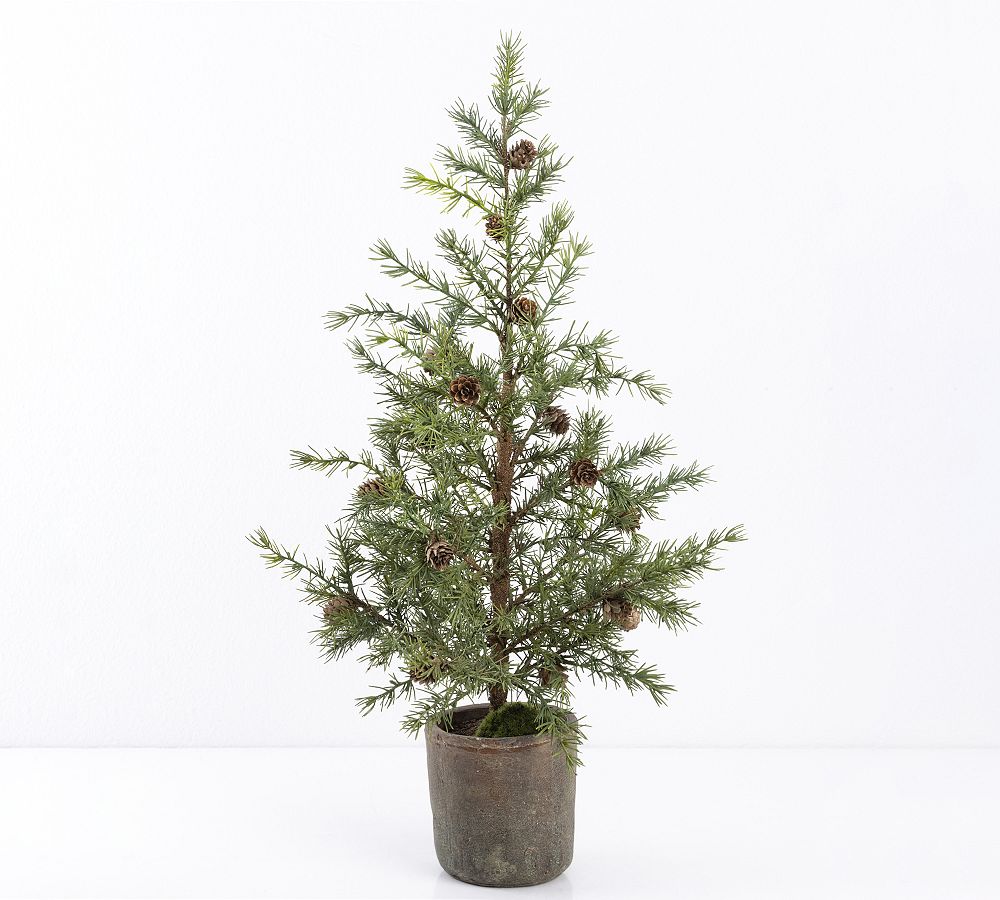 Potted Pine Tree With Pinecones 29 Pottery Barn
