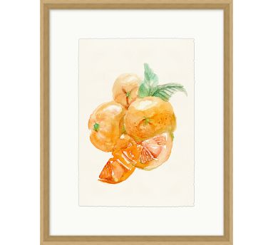 Summer Citrus Framed Print | Pottery Barn