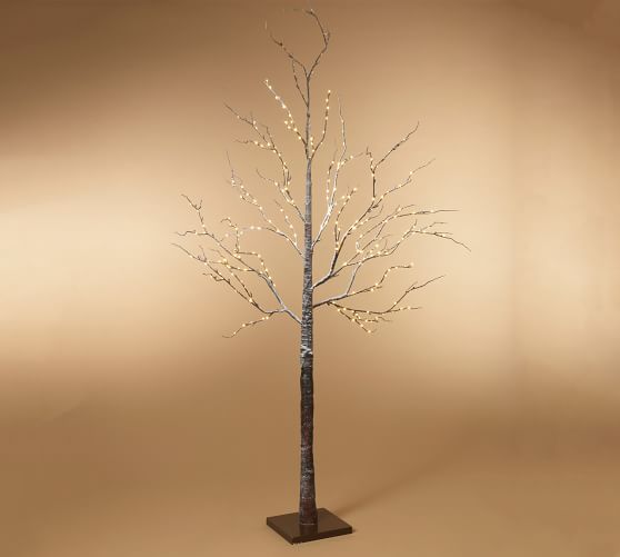 Lit Snowy Brown Birch Tree - 6ft | Pottery Barn