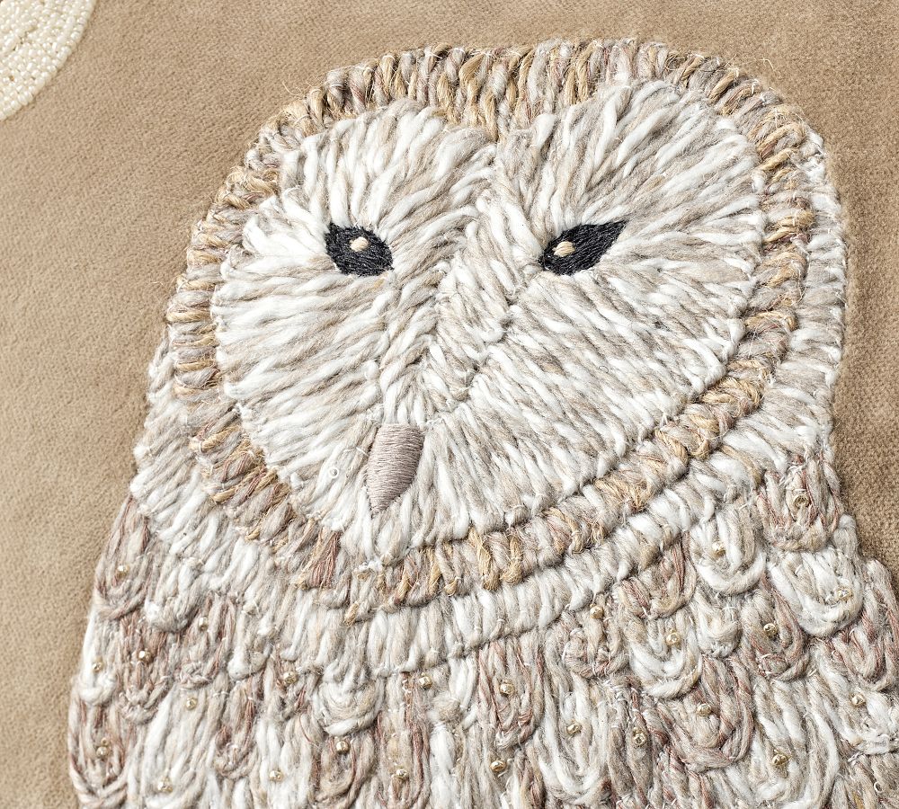 Velvet Embellished Owl Pillow | Pottery Barn