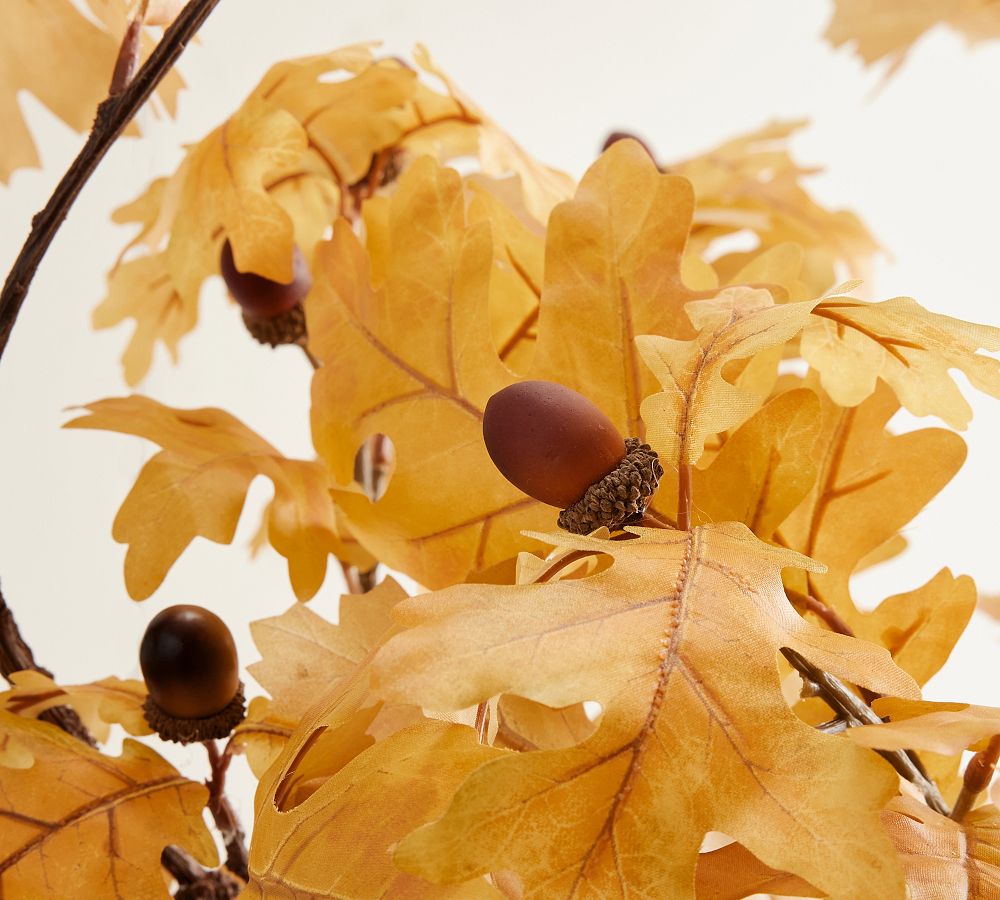 Faux Golden Oak Branch With Acorns | Pottery Barn