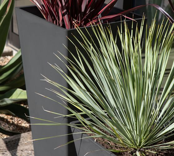 All Weather Eco Hevea Tapered Cube Tall Outdoor Planters | Pottery Barn