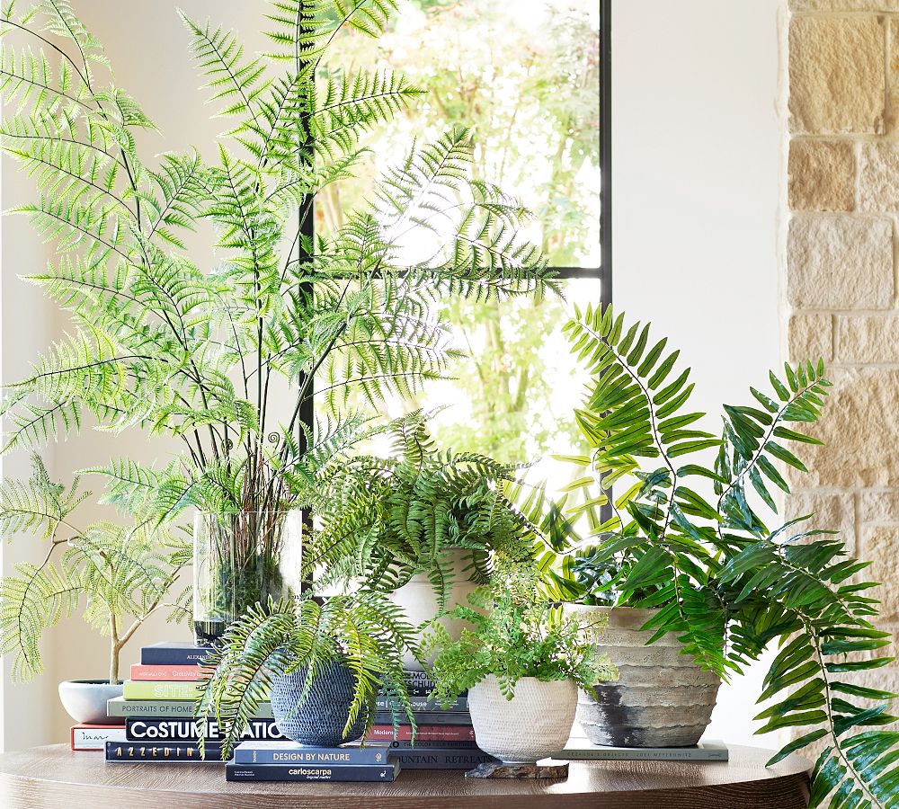 Faux Potted Trunked Curly Fern | Pottery Barn