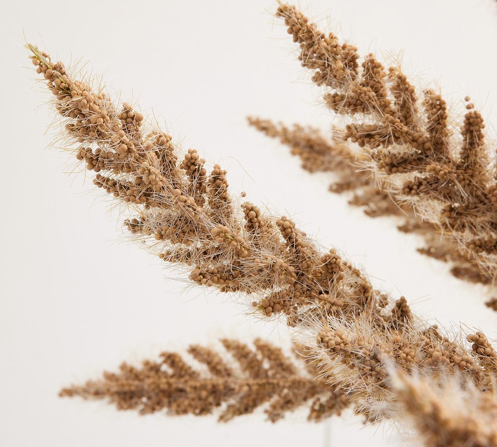 Faux Millet Bundle | Pottery Barn
