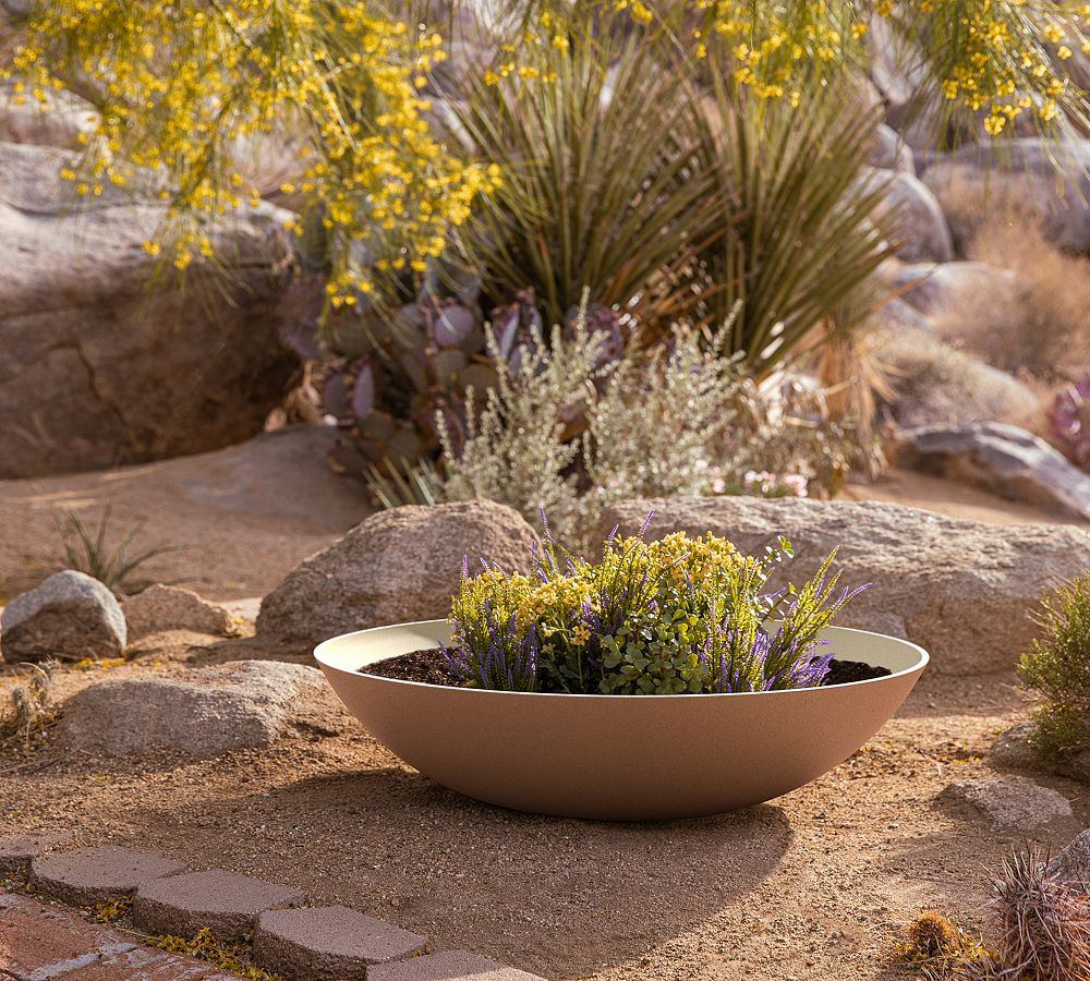 All Weather Eco Hevea Outdoor Bowl Planters | Pottery Barn