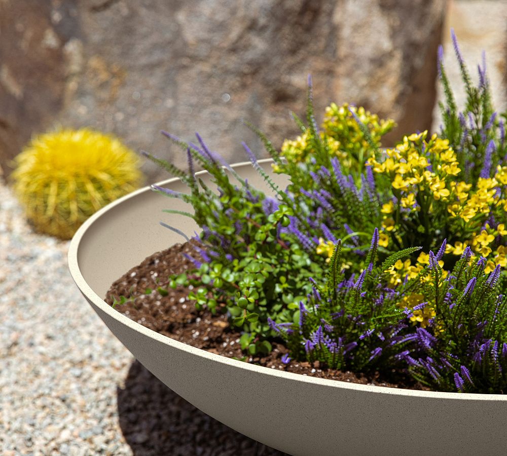All Weather Eco Hevea Outdoor Bowl Planters | Pottery Barn