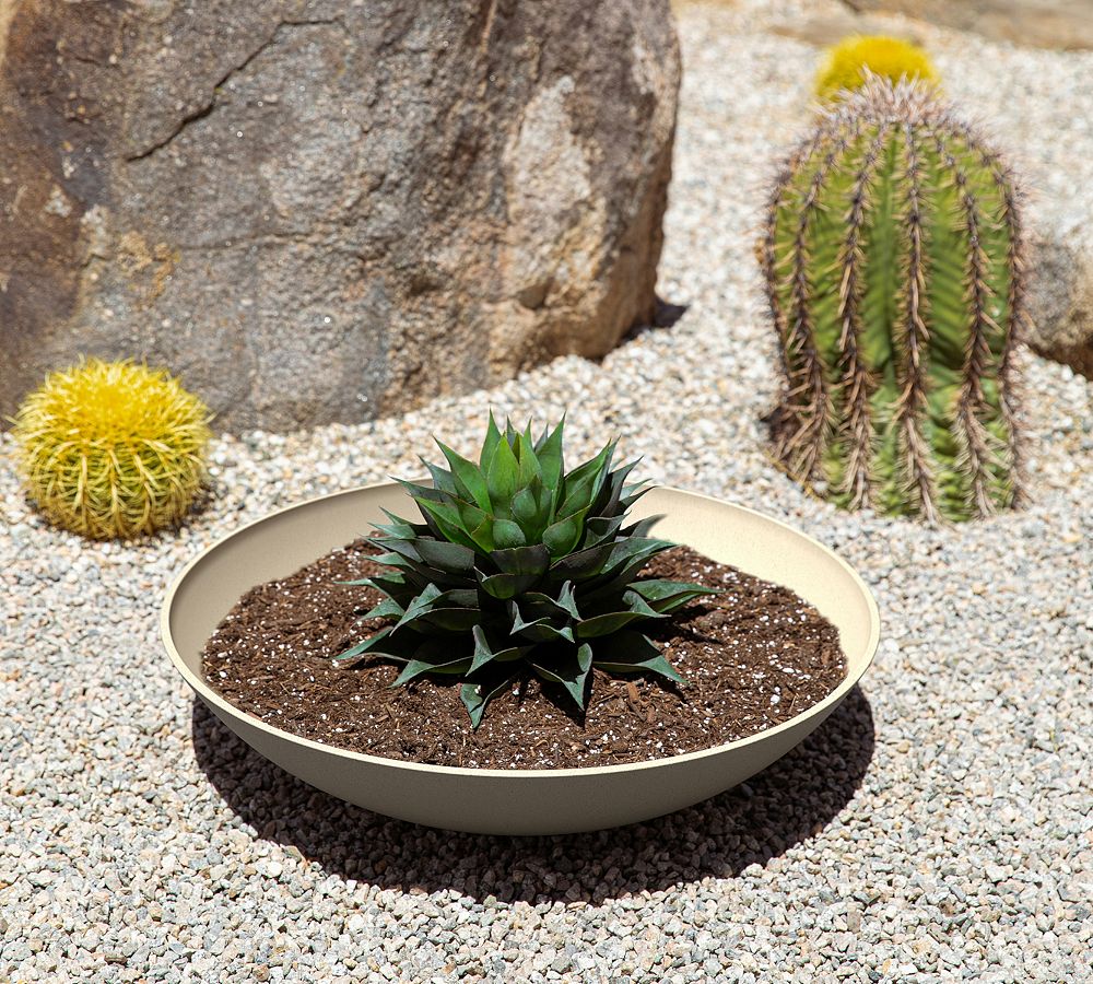All Weather Eco Hevea Outdoor Bowl Planters | Pottery Barn