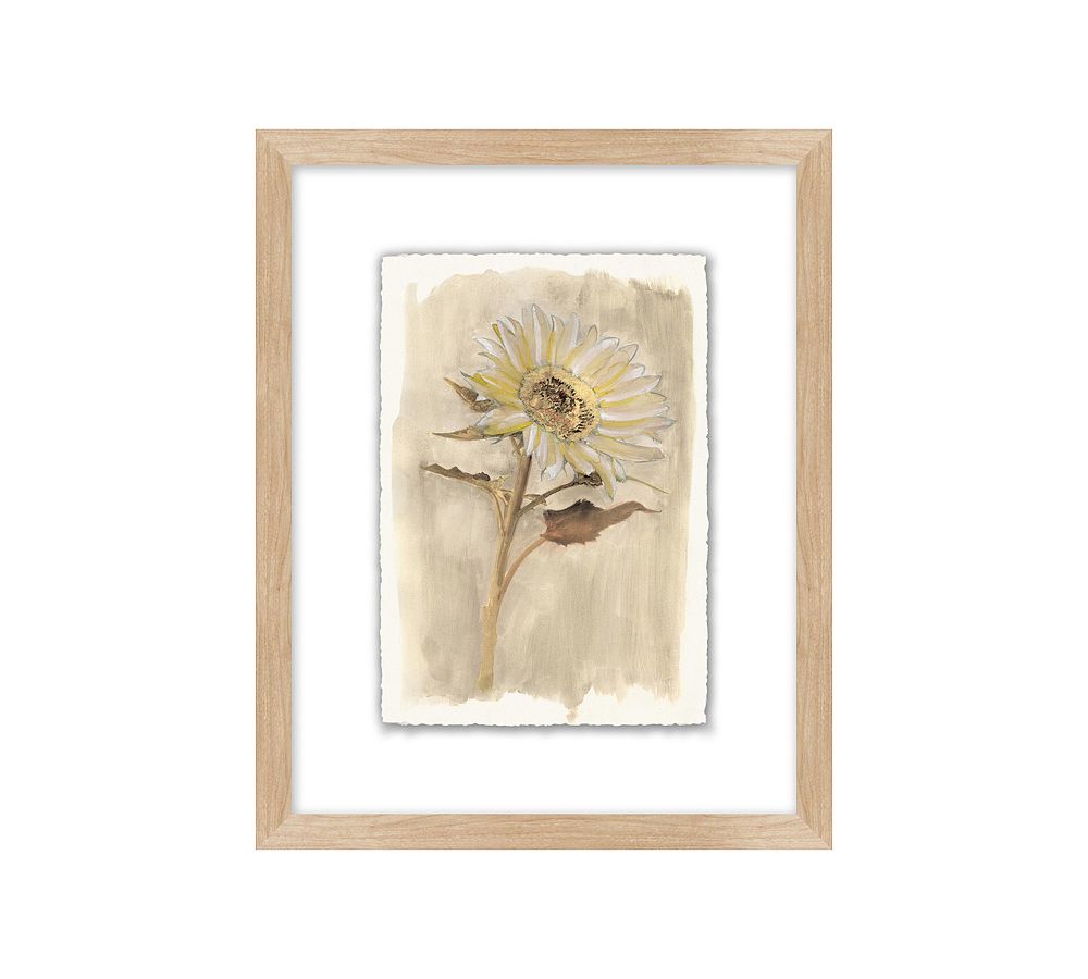 Neutral Daisy Print Wall Art | Pottery Barn