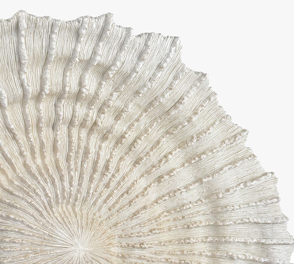 Handmade Ceramic Shell Wall Art - Set of 3 | Pottery Barn