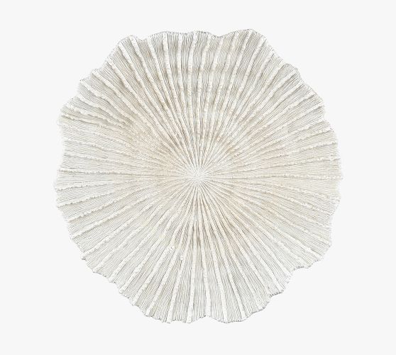 Handmade Ceramic Shell Wall Art - Set of 3 | Pottery Barn