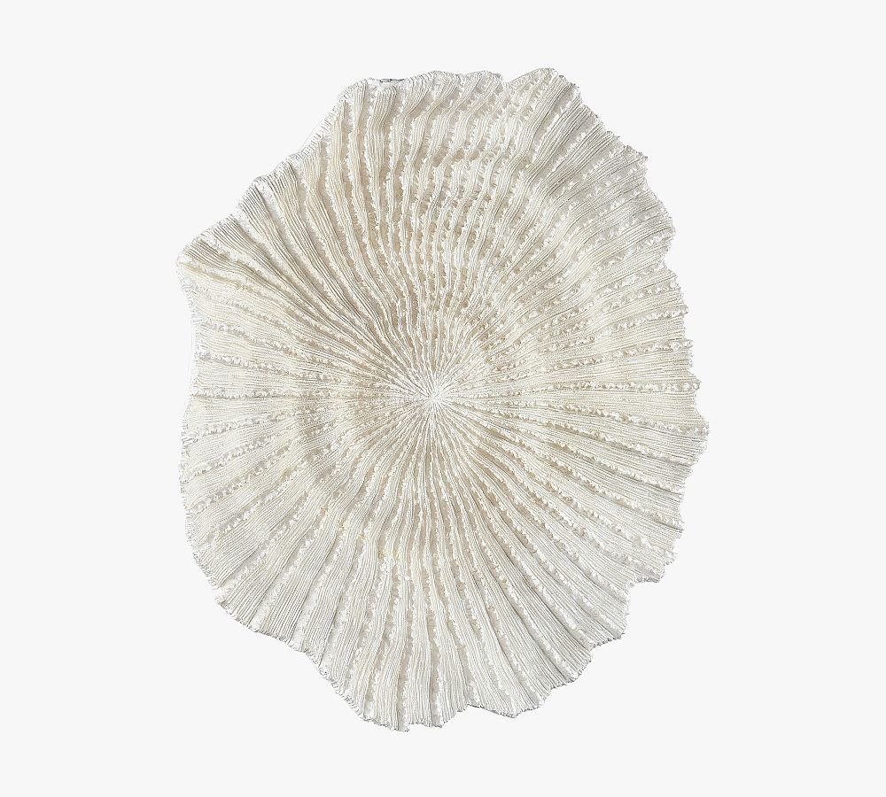 Handmade Ceramic Shell Wall Art - Set of 3 | Pottery Barn